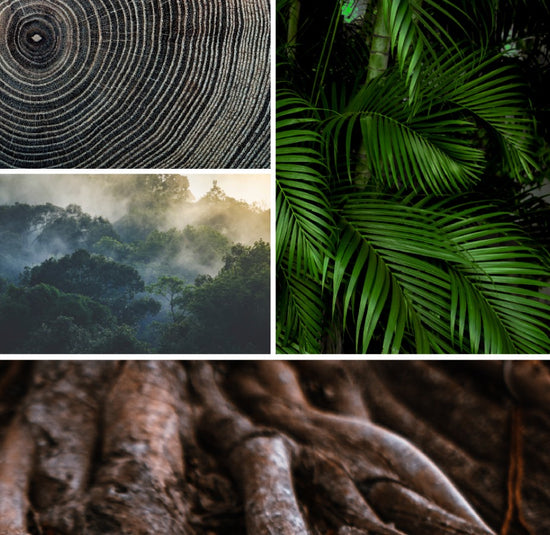 Wildwood Cladding | Fiberon Cladding